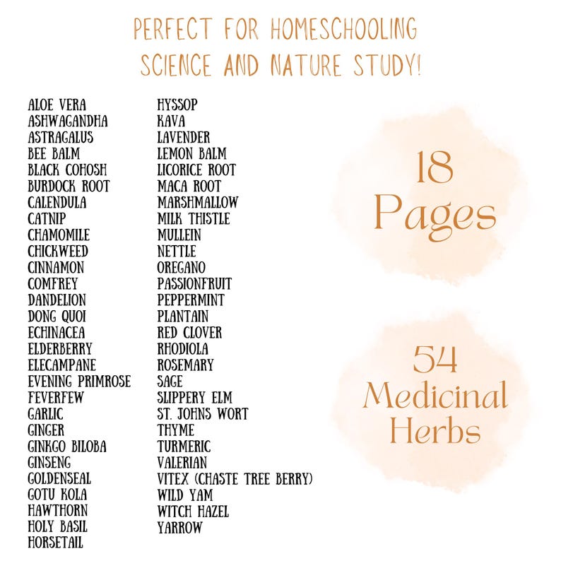 Medicinal Herbs Flashcards Printable | Herb Study Homeschool Science ...