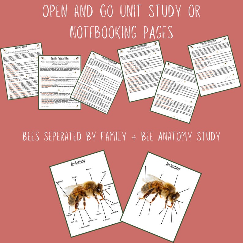 North American Bees Unit Study and Homeschool Notebooking Journal With ...