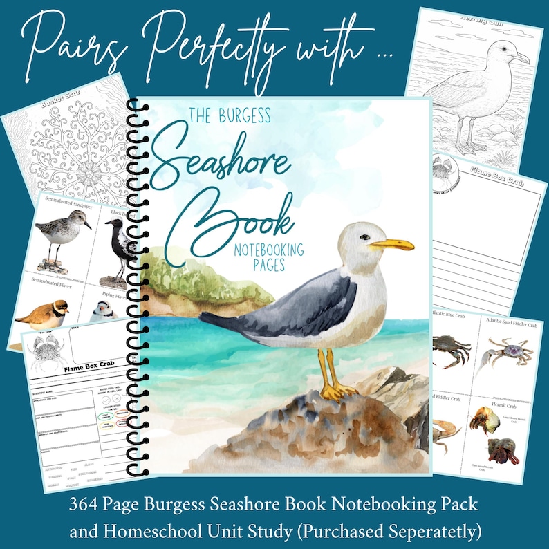 The Burgess Seashore Book Flashcards for Coloring: Ambleside Homeschool ...