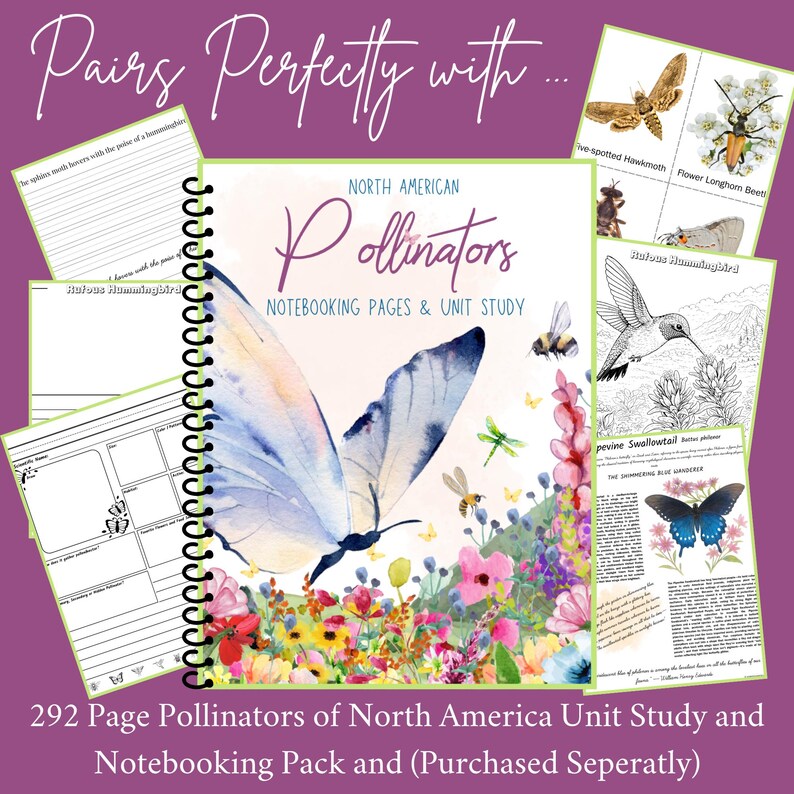 North American Pollinators Coloring Flashcards, Homeschool Nature Study ...