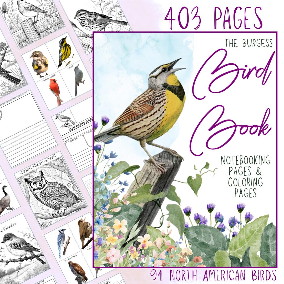 The Burgess Bird Book Companion Unit Study: Notebooking Journal With Worksheets, Coloring and ...