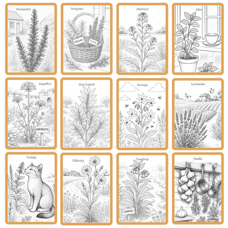 Garden Herbs Homeschool Unit Study: Open and Go Botany Curriculum ...