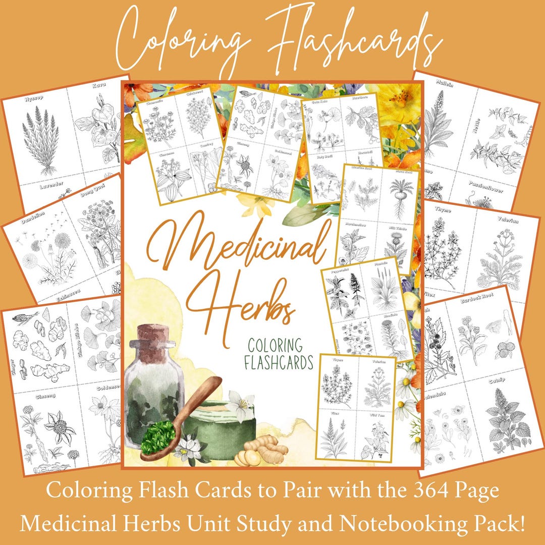 Medicinal Herbs Flashcards Printable | Herb Study Homeschool Science ...
