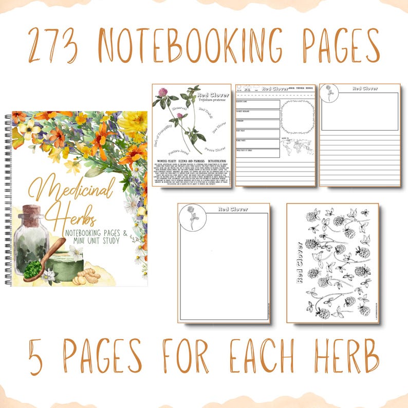 Medicinal Herbs Homeschool Botany Unit Study & Open and Go Herbal ...