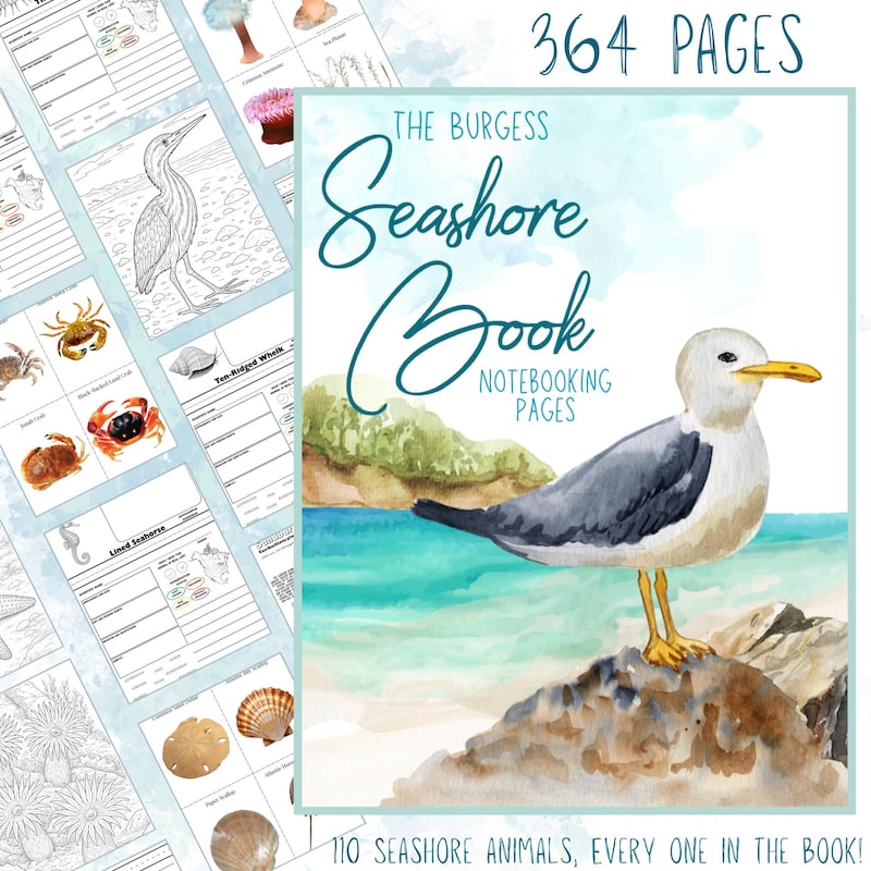 Seashore Crafts - Etsy
