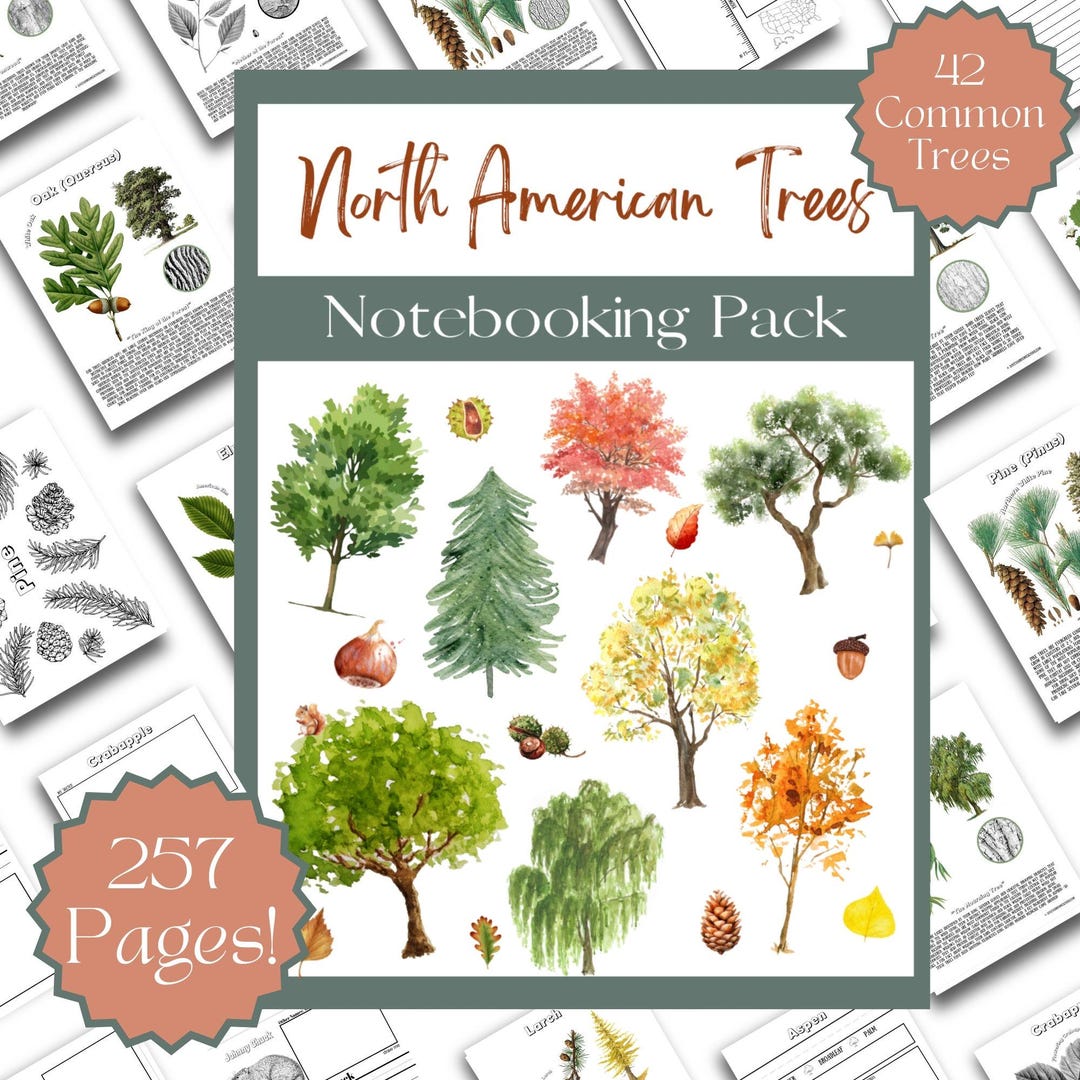 HUGE Trees Notebooking Pages Pack Homeschool Unit Study Homeschool ...