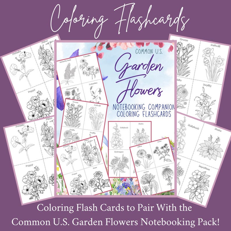 Garden Flowers Flashcards for Coloring: Homeschool Hands on Botany Unit ...