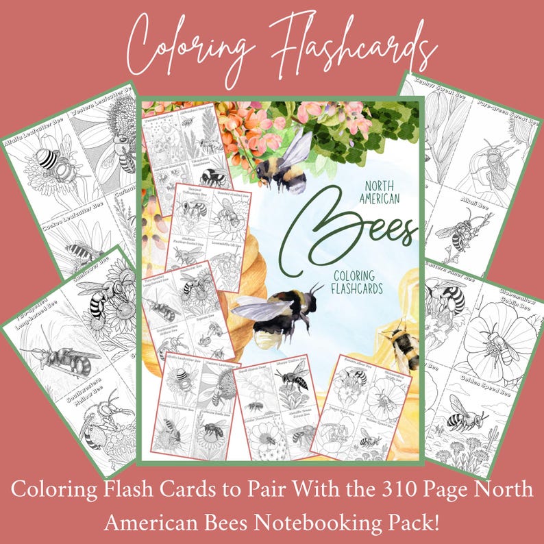 Bees Flashcards for Coloring Hands on Homeschool Unit Study Activity - Etsy