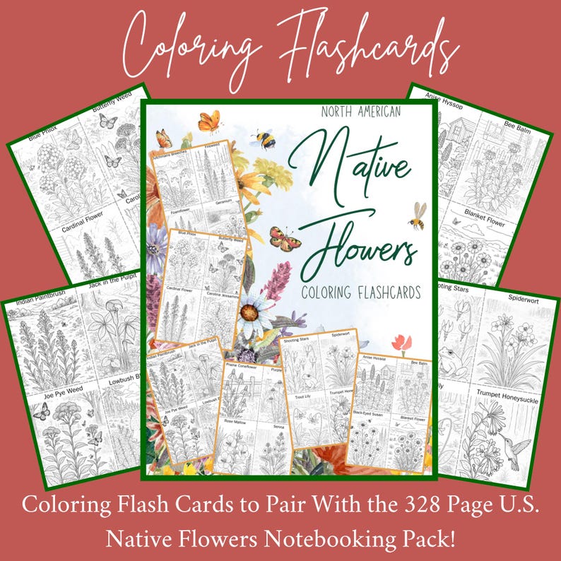 Native Flowers Flashcards for Coloring Hands-on Homeschool Wildflower ...