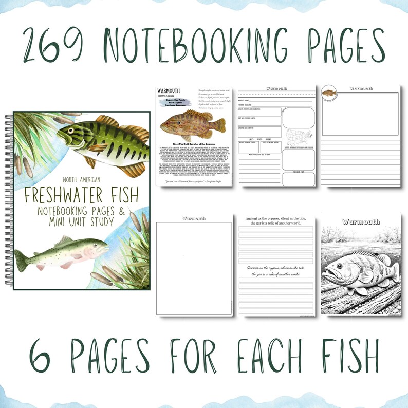 HUGE US Freshwater Fish Notebooking Pack 269 Pages Homeschool Nature ...
