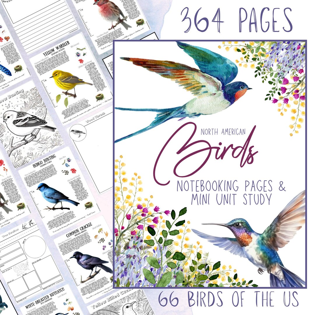 HUGE Birds of North America Notebooking Pages Pack 361 Pages Printable ...
