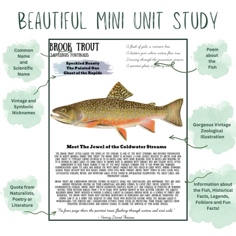 HUGE US Freshwater Fish Notebooking Pack 269 Pages Homeschool Nature ...