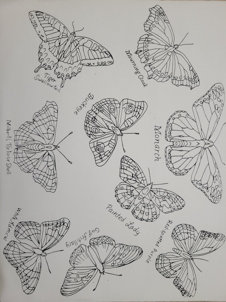 Butterfly Outline Drawing - Etsy