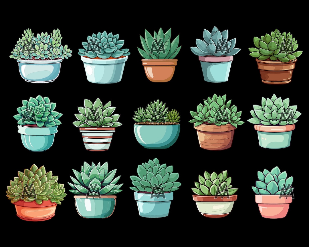 Succulents Succulent Design Bundle Design Pack Vector Svg Scalable Dtg ...