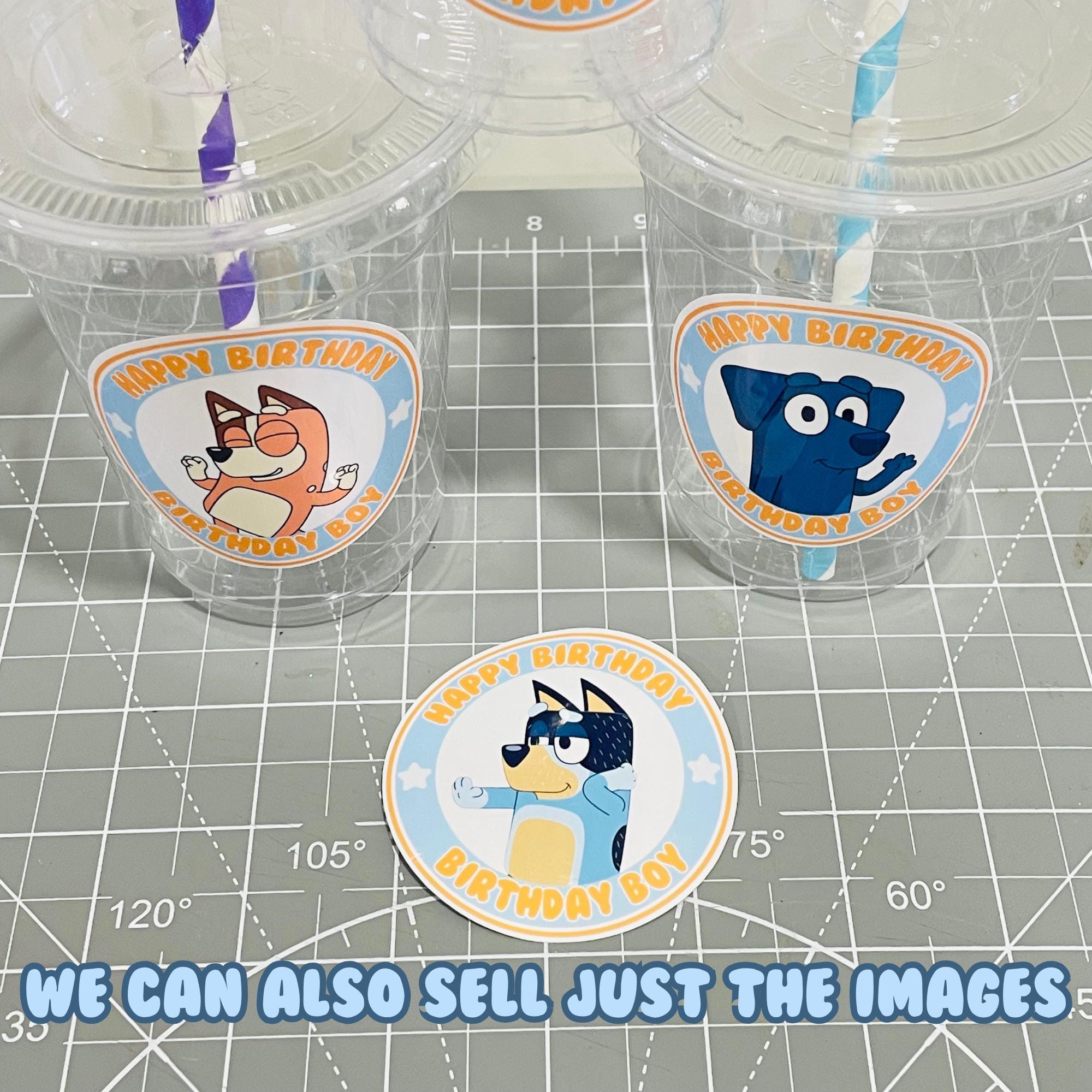 Bluey Birthday Cups, Party Favor, Disposable Bluey Party Cups, Bluey ...