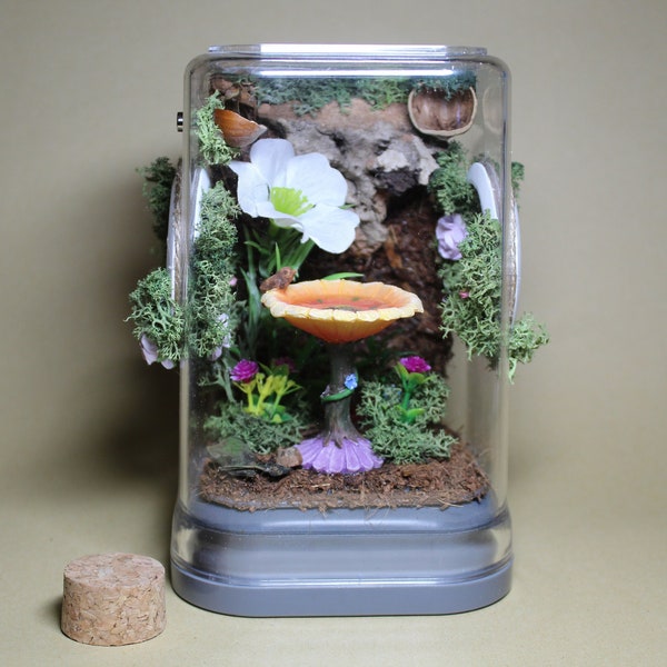 Jumping Spider Enclosure - Etsy
