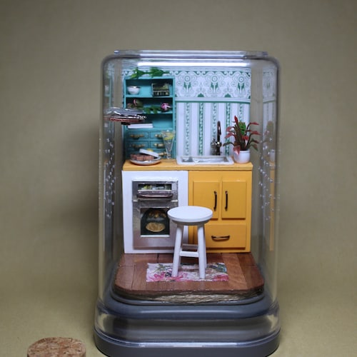 Made-to-order Gothic Study Jumping Spider Enclosure Jumping - Etsy