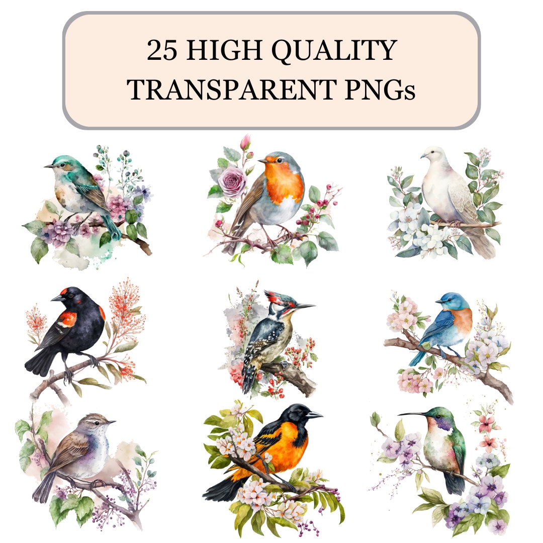 Watercolor Birds Clipart Bundle Set of 25 Colorful Bird Clipart Spring ...