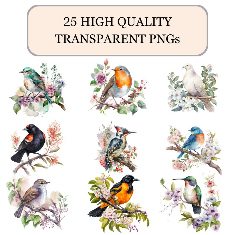 Watercolor Birds - Etsy