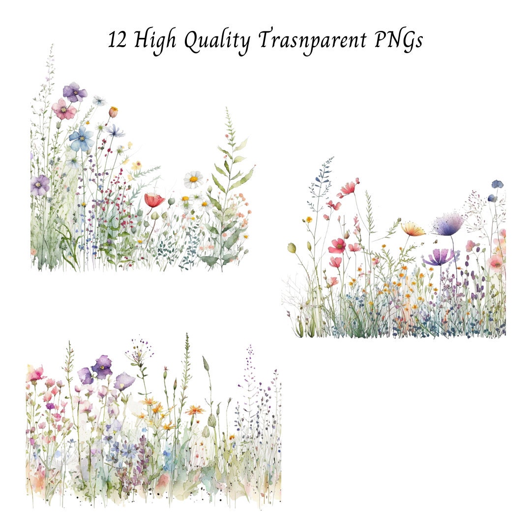 Watercolor Floral Clipart Border Wildflowers in Field Meadow - Etsy ...
