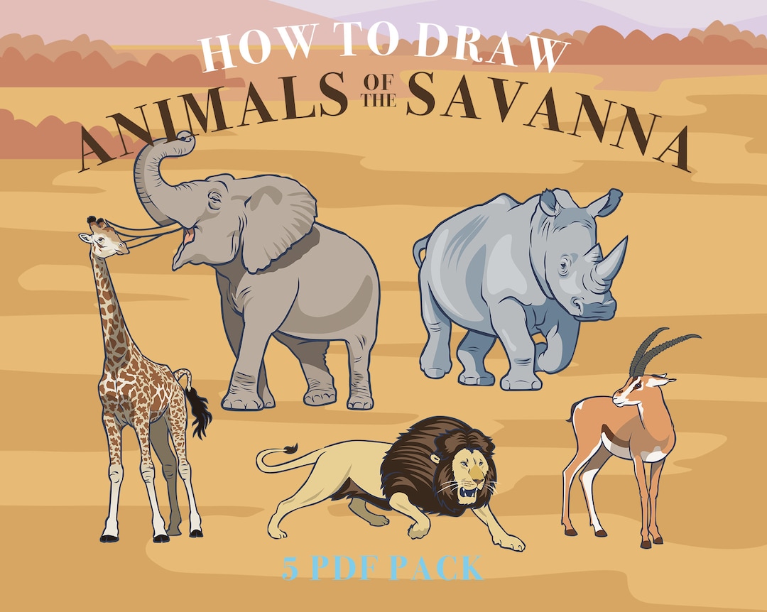 Step-by-step: How to Draw Animals of the Savanna (5 PDF Pack) - Etsy