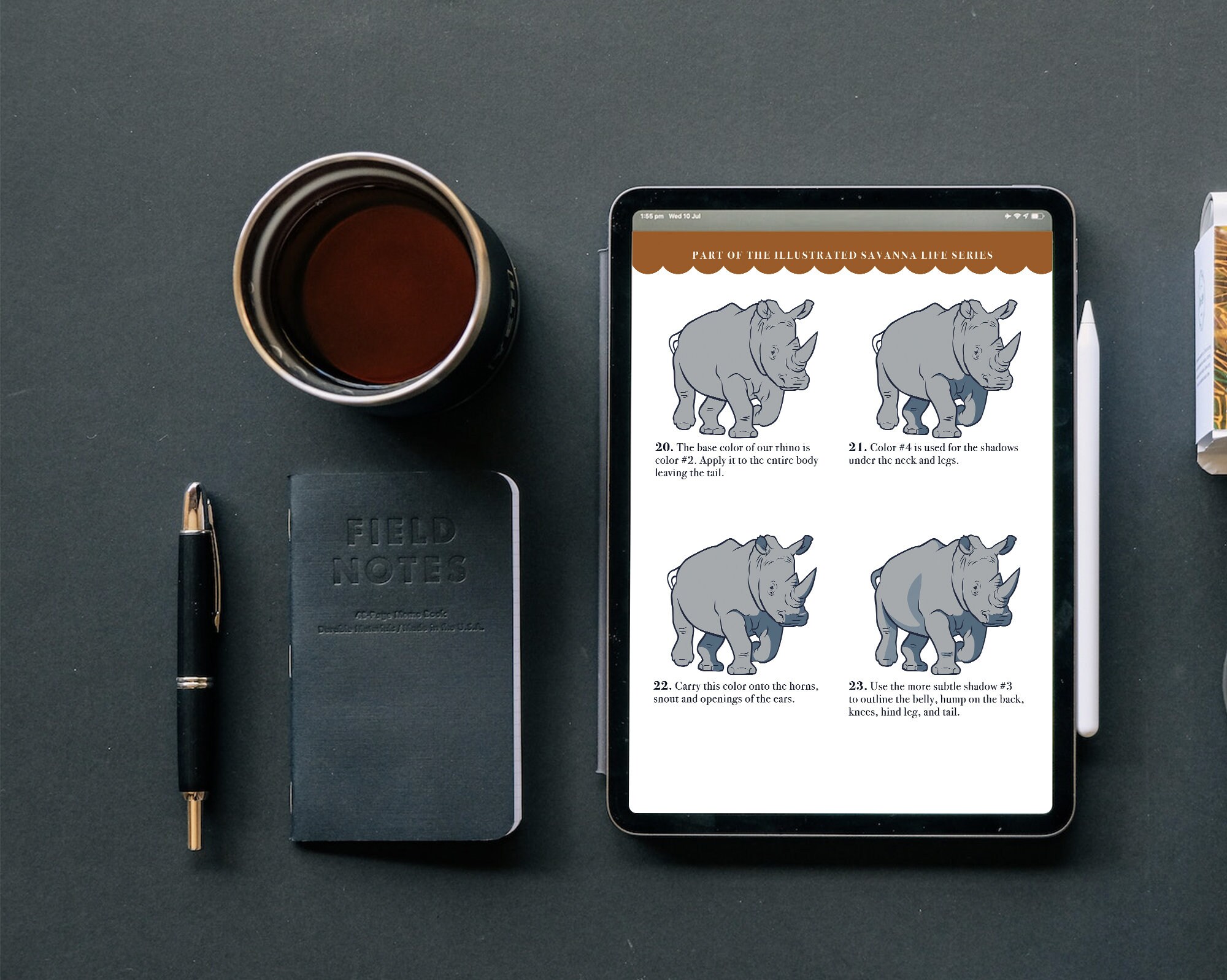 Step-by-step: How to Draw Animals of the Savanna 5 PDF Pack - Etsy