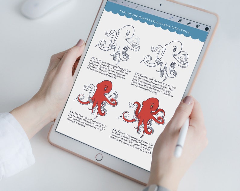 Step-by-step: How to Draw Sea Creatures (5 PDF Pack) - Etsy