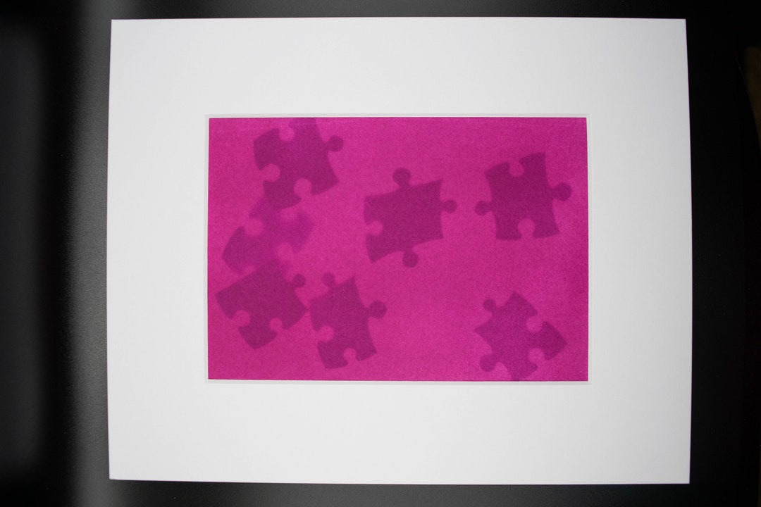 Anthoype Photogram Flower Photo - Etsy