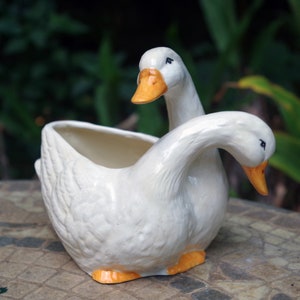 Double Headed Duck Planter - Etsy