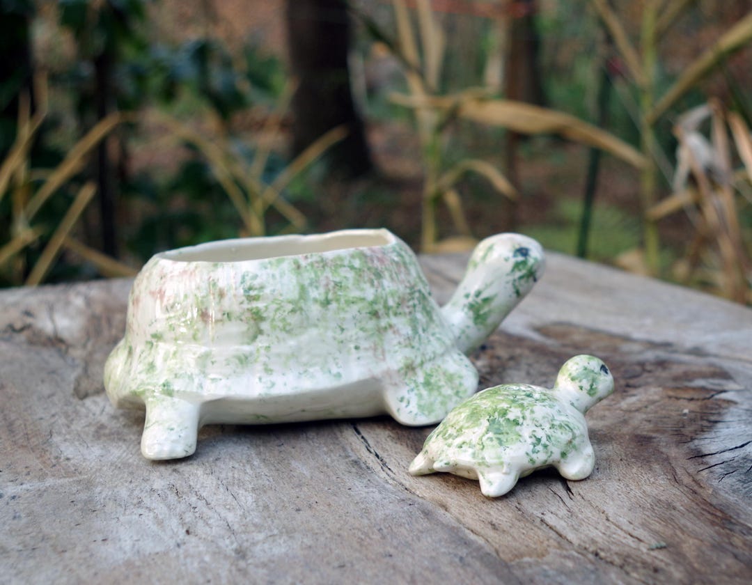 Turtle/ Tortoise Planter With Baby Green Ceramic - Etsy