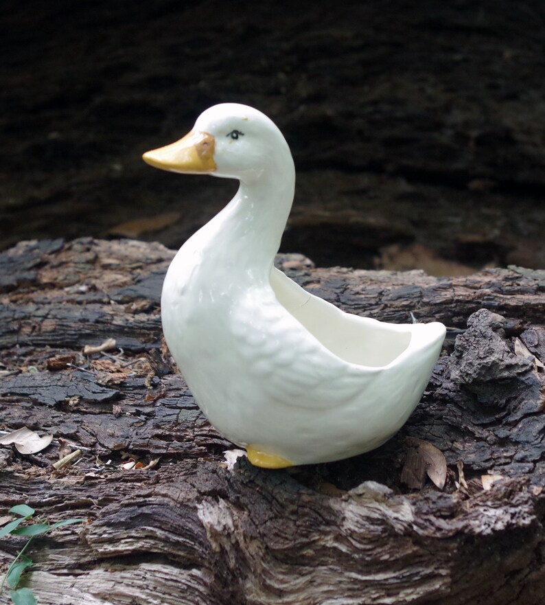 6 Inch Head up Duck geese Planter - Etsy