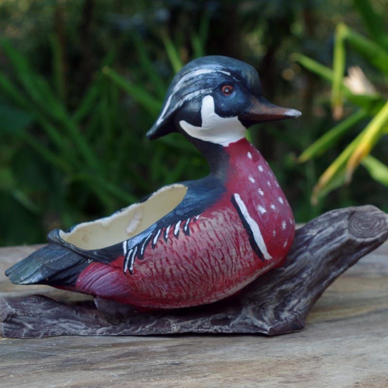 Duck Planter - Etsy
