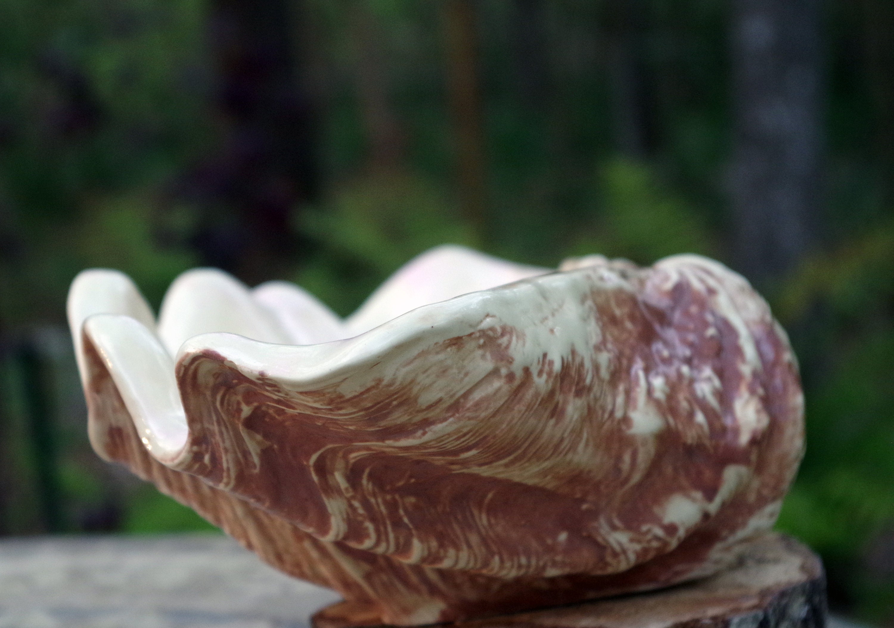 Large Glazed Ceramic Clam Shell - Etsy