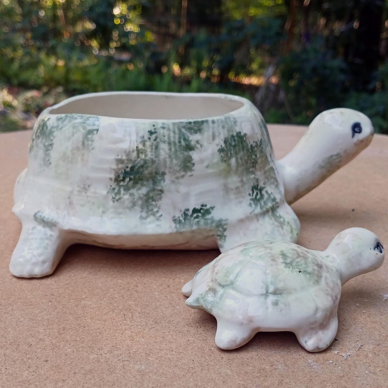 Turtle Planter - Etsy
