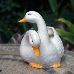 Double Headed Duck Planter - Etsy