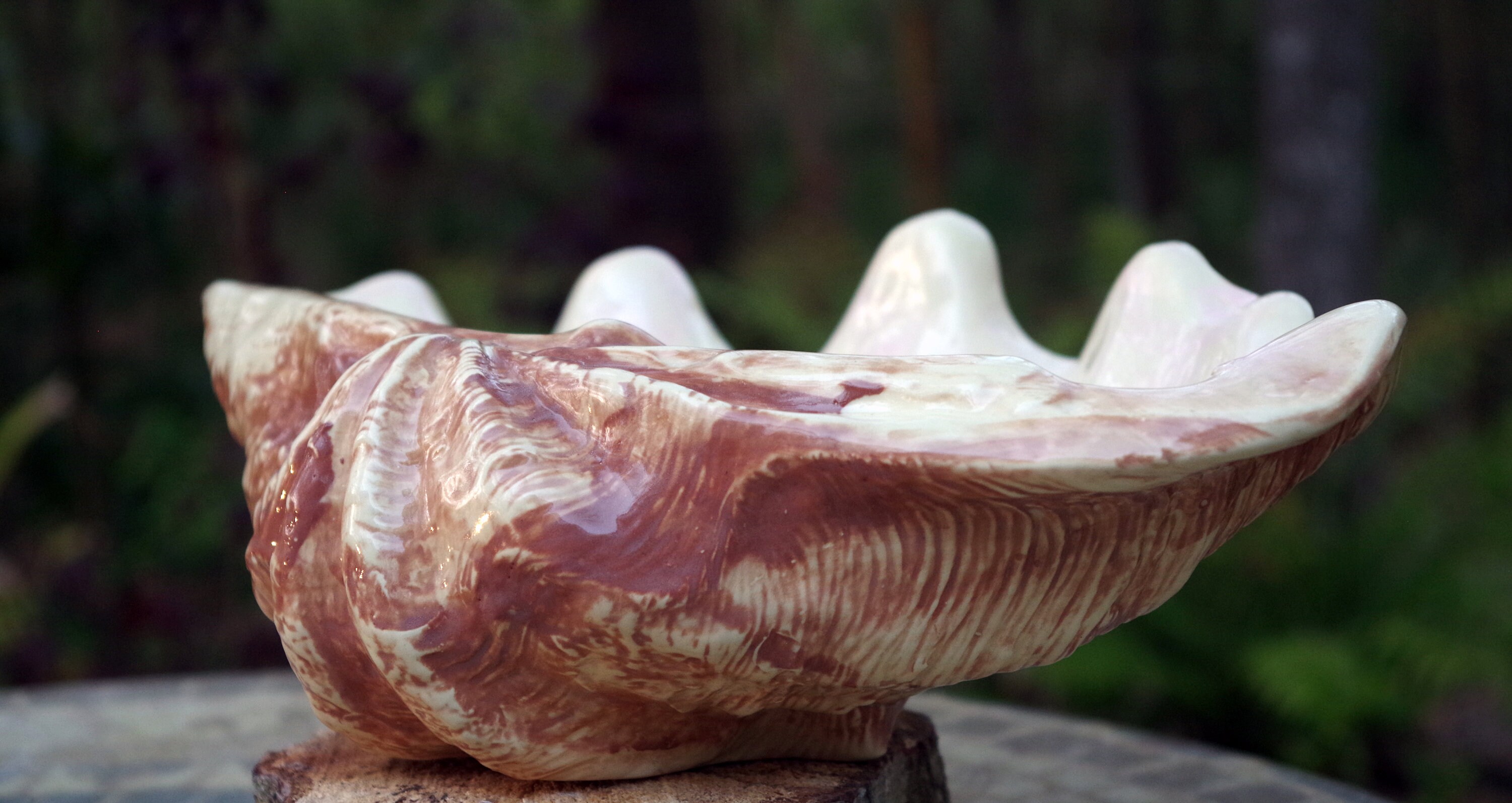 Large Glazed Ceramic Clam Shell - Etsy