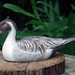 7 Inch Head Out Duck Geese Planter - Etsy