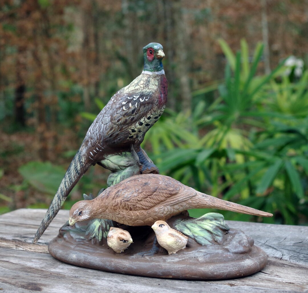 Hand Painted Pheasants Family With Chicks - Etsy