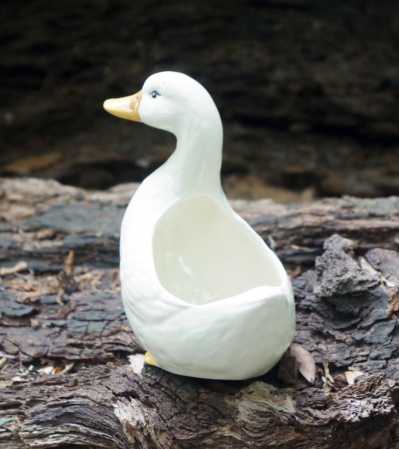6 Inch Head up Duck geese Planter - Etsy