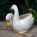 Double Headed Duck Planter - Etsy