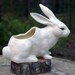 Ceramic Sitting Rabbit Plante - Etsy
