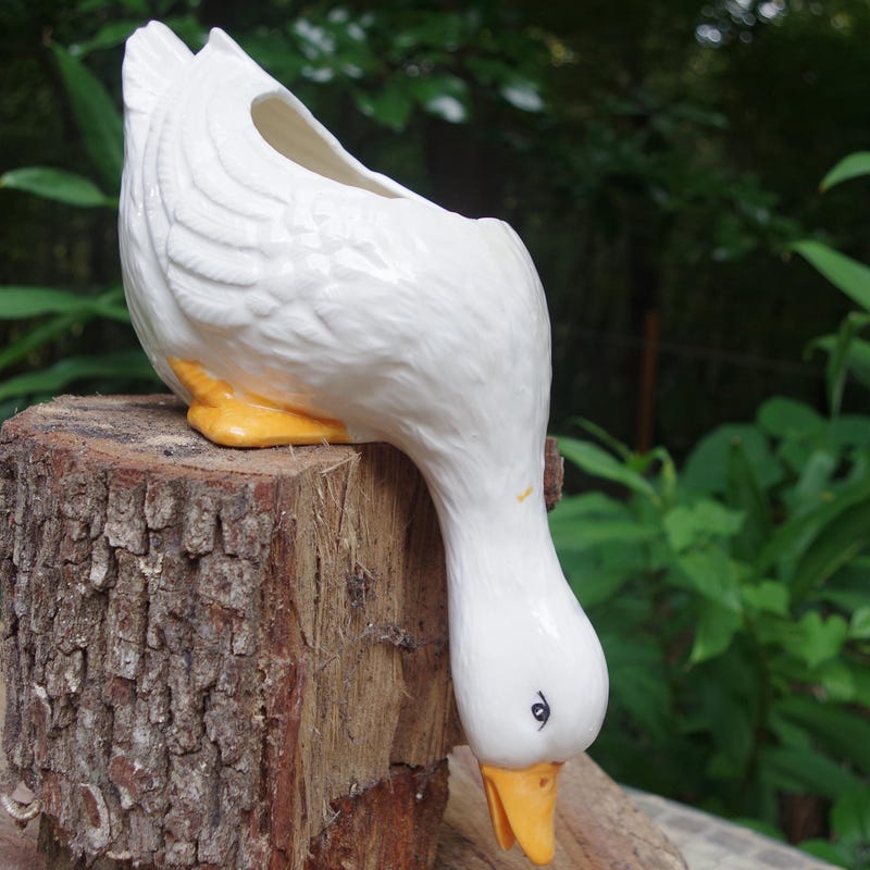 Duck Planter - Etsy