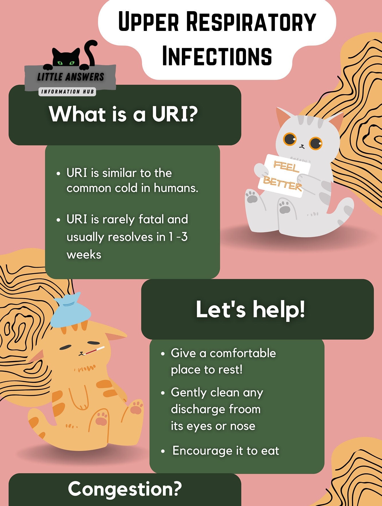 Vet Poster Prints Brochures Infographic Reading Material - Etsy