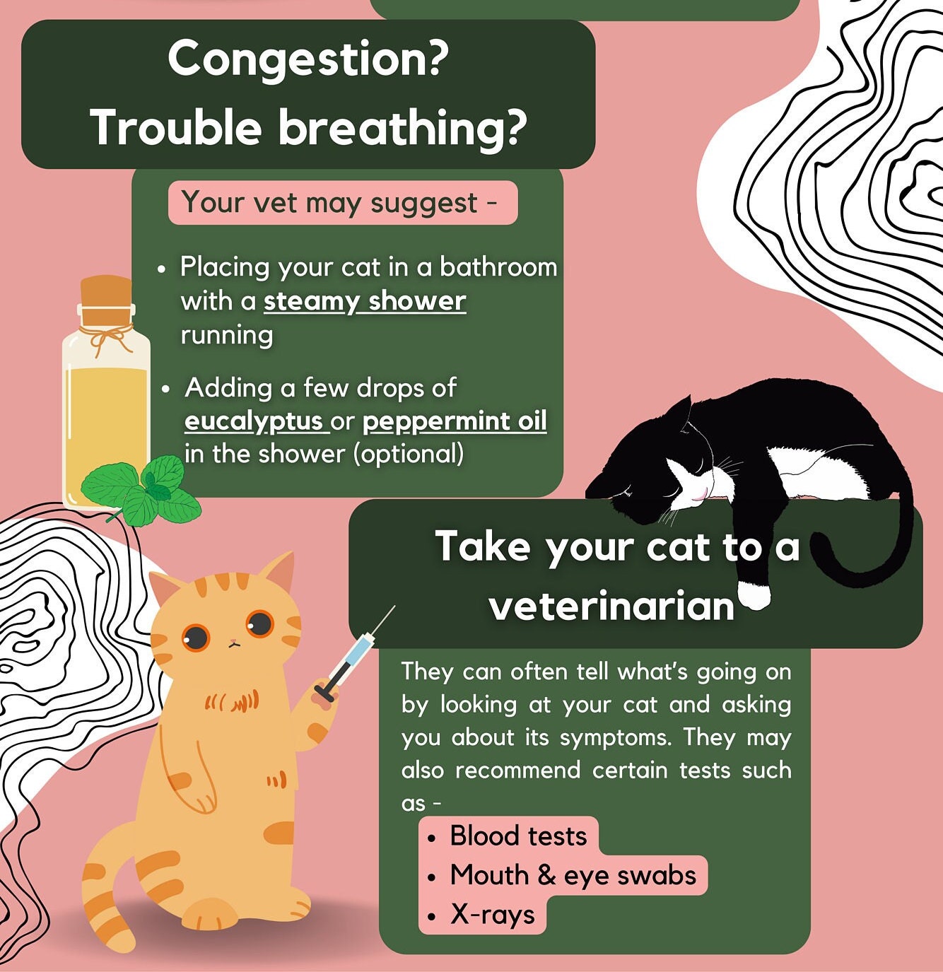 Vet Poster Prints, Brochures, Infographic, Reading Material Can Be Used ...