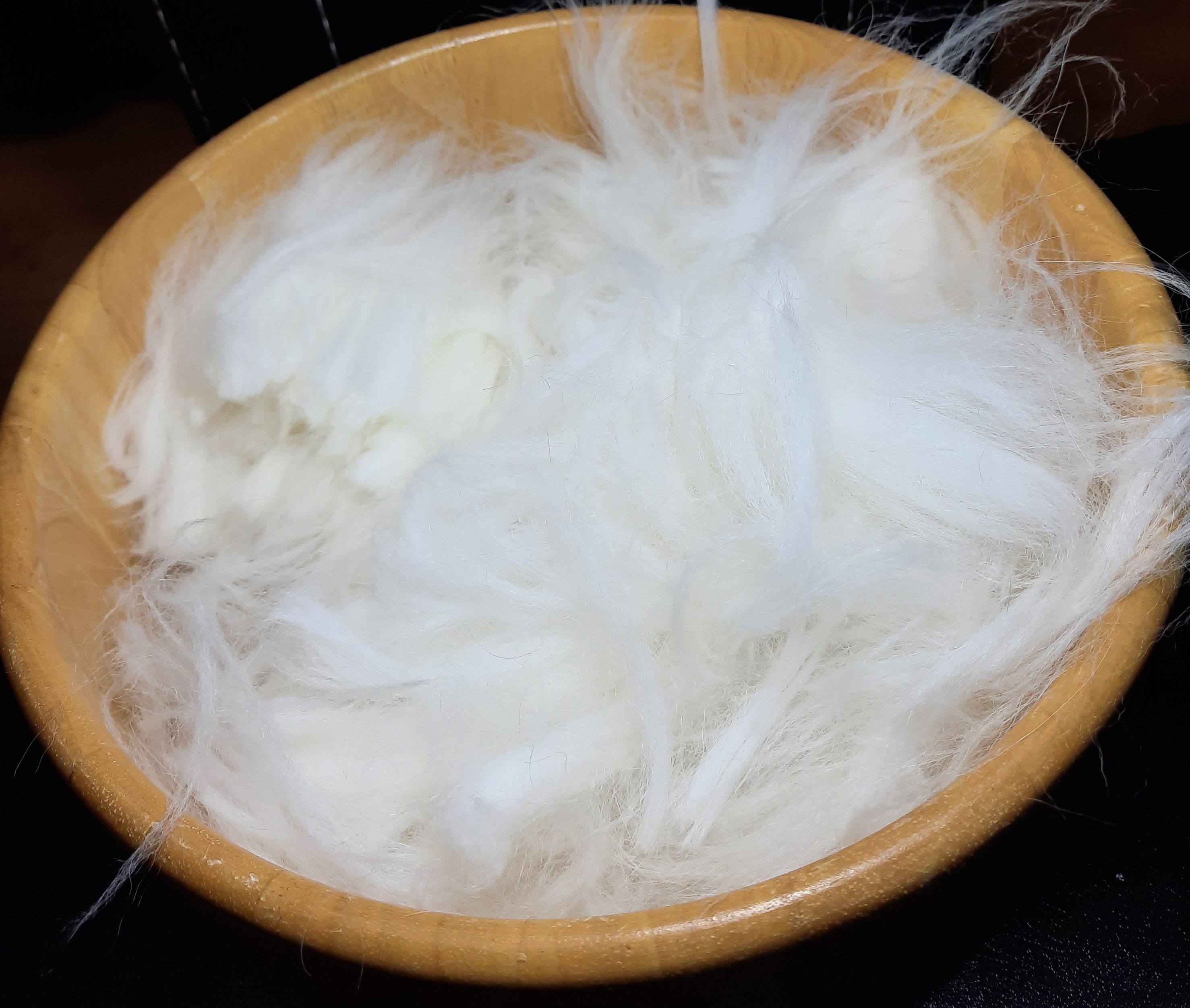 Pure German Angora White Wool Fibre 30g - Etsy