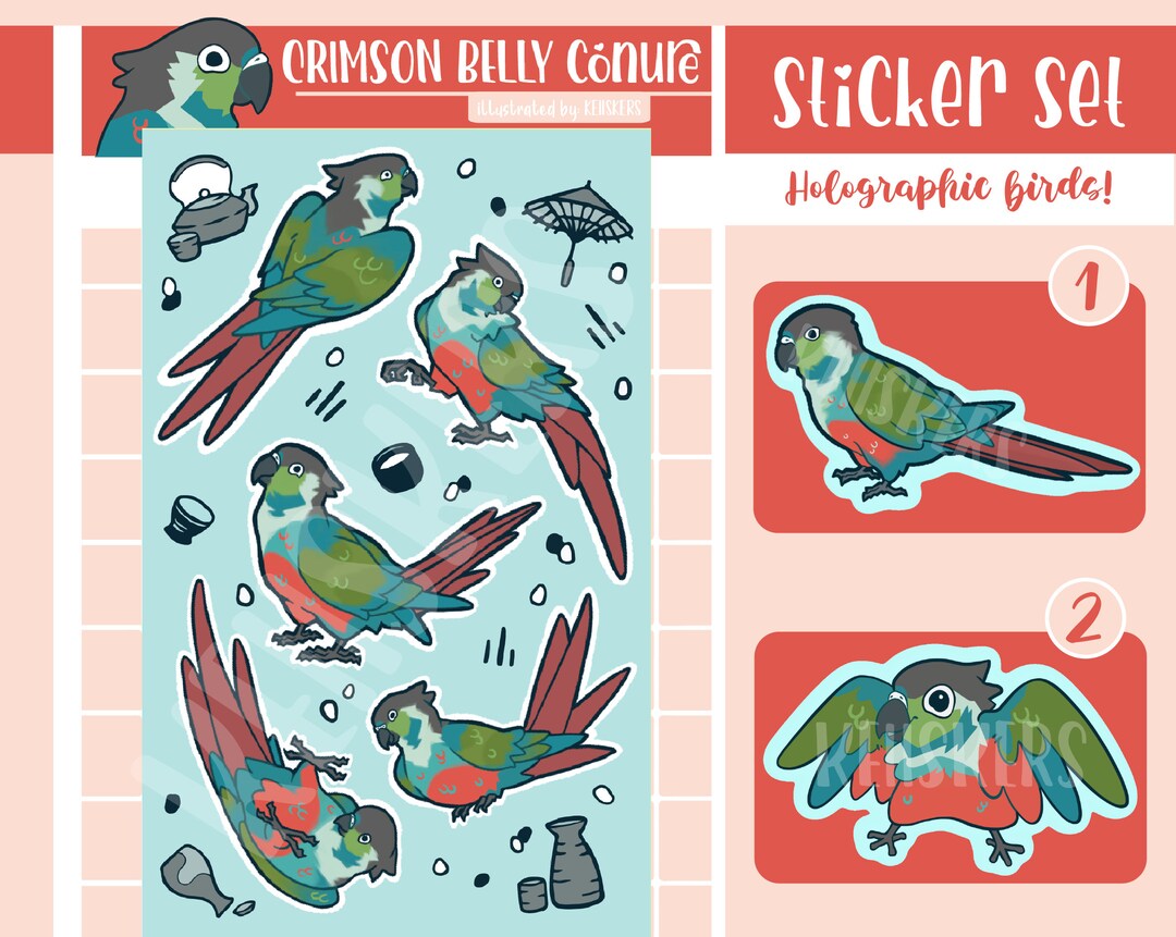 Crimson Belly Conure Vinyl Sticker Sheet Set | Bird Sticker - Etsy