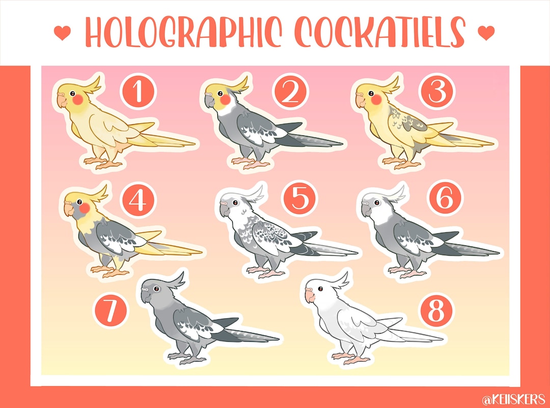 Cockatiel Holographic Stickers | Bird Sticker - Etsy