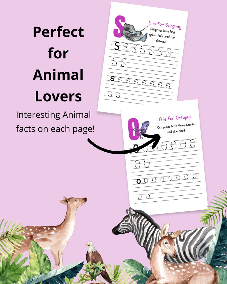 Animal Handwriting Practice Worksheets - Etsy