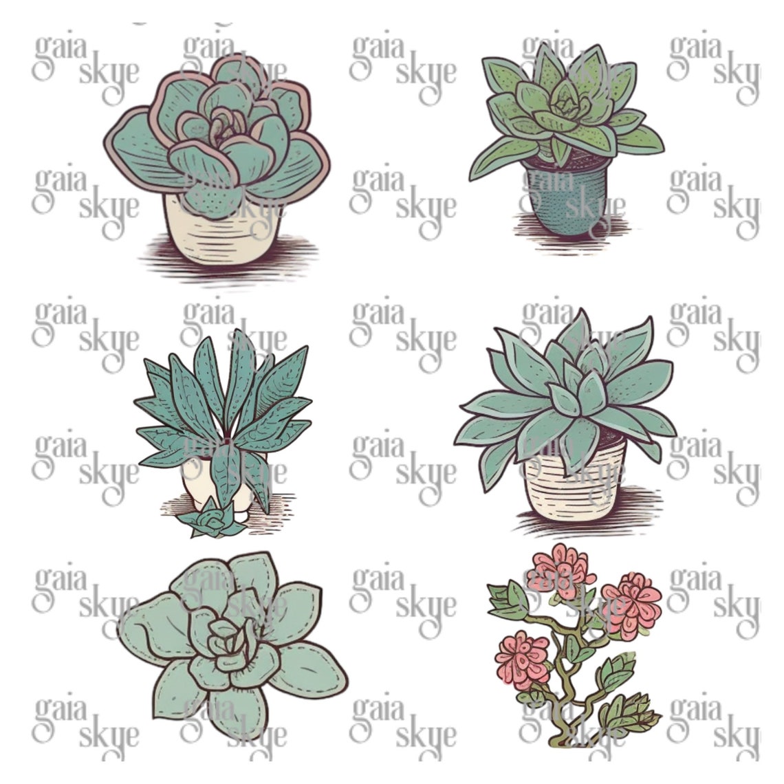 30 PNG Cute Succulents Clipart, Printable Digital Download, Succulent ...
