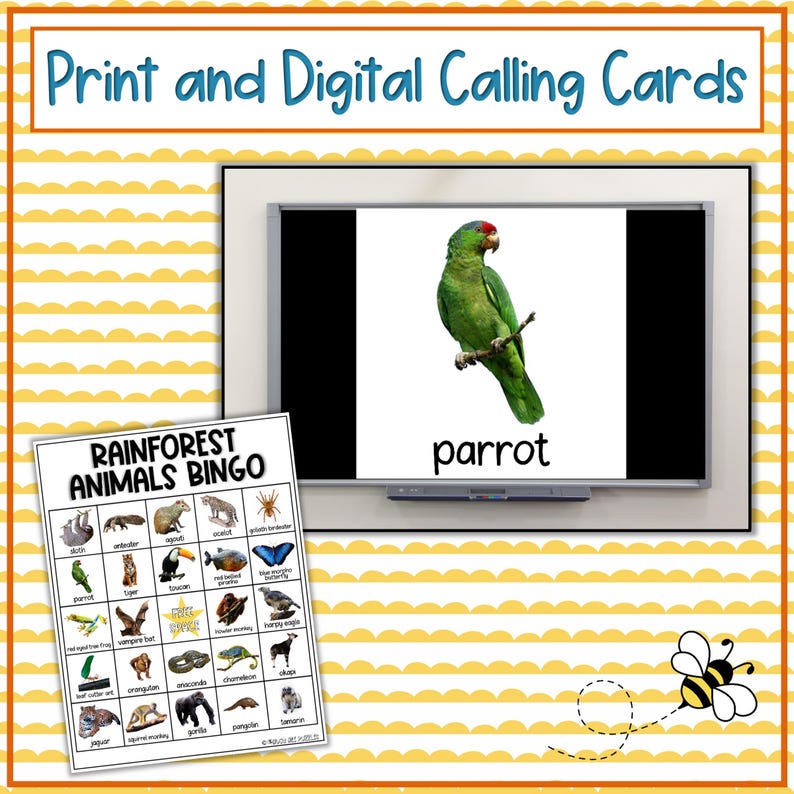 Animal Habitats Bingo Game Bundle Desert, Rainforest, Polar, Wetlands ...